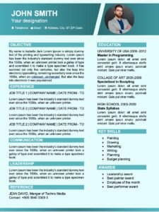 Professional Resume Format in Word for Experienced