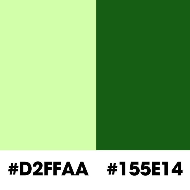 40 Color Palette | Color Combinations