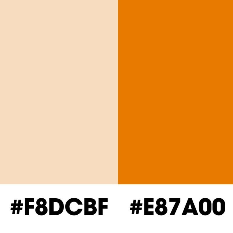 40 Color Palette | Color Combinations