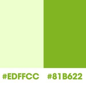 40 Color Palette | Color Combinations