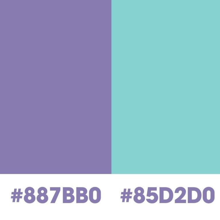 40 Color Palette | Color Combinations