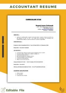 24 Accountant Resume Templates - Download MS word & PDF