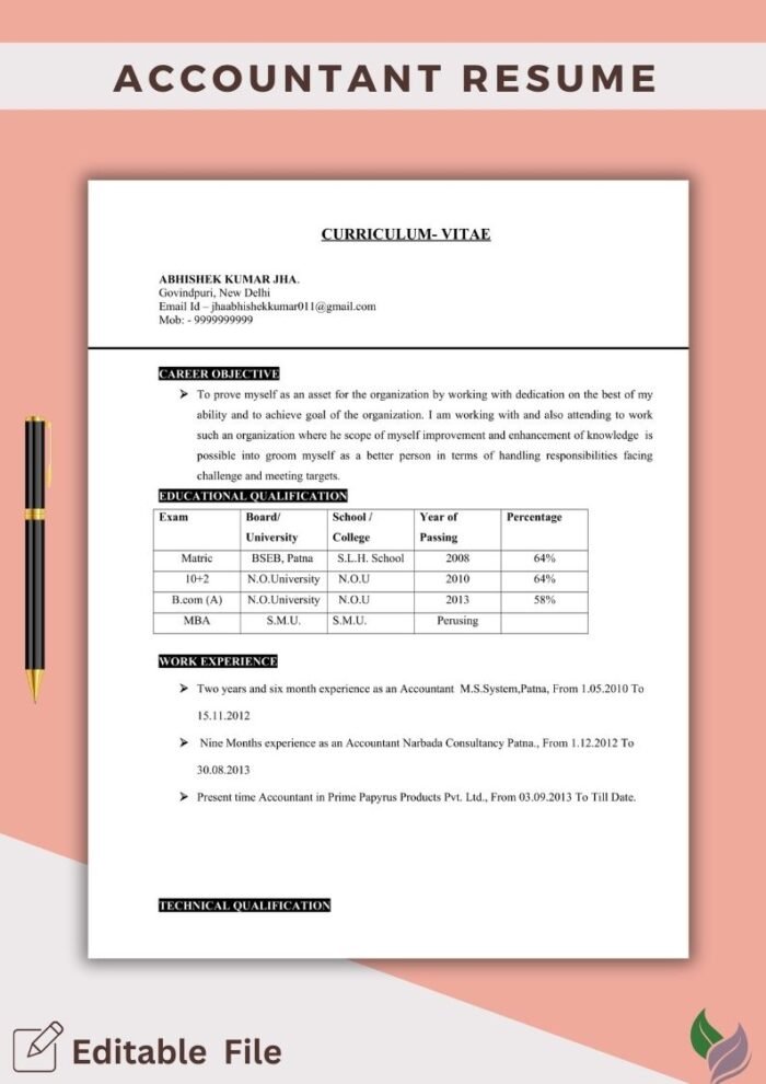 24 Accountant Resume Templates - Download MS word & PDF