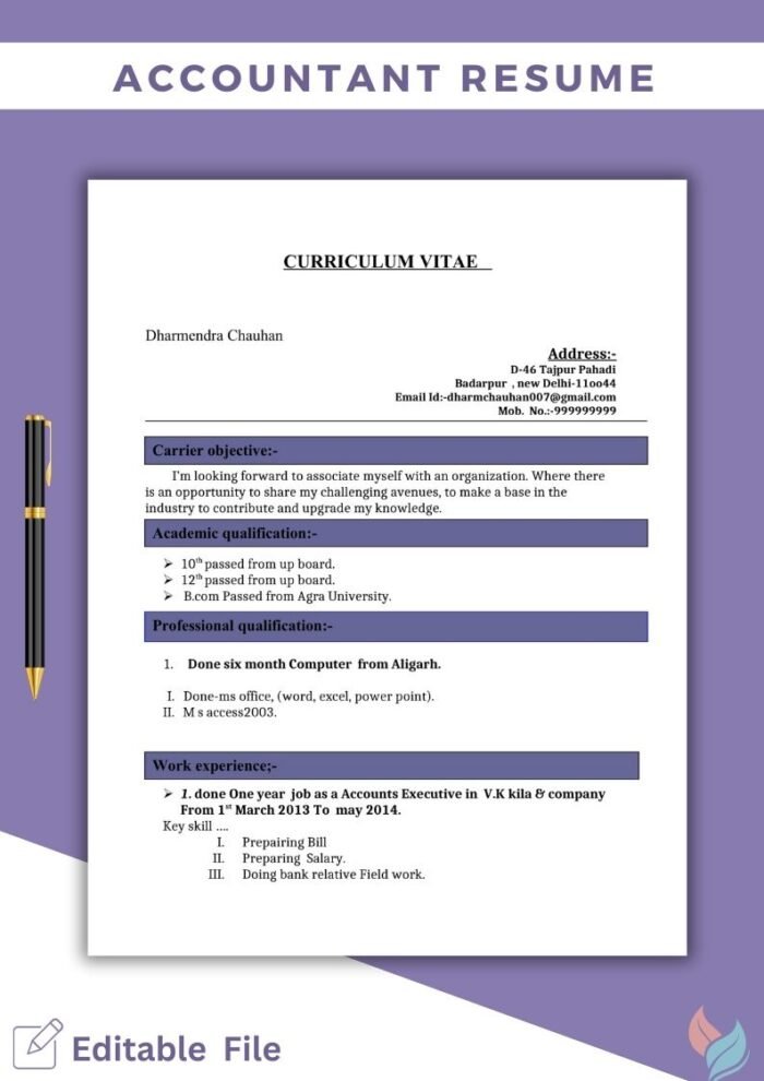 24 Accountant Resume Templates - Download MS word & PDF