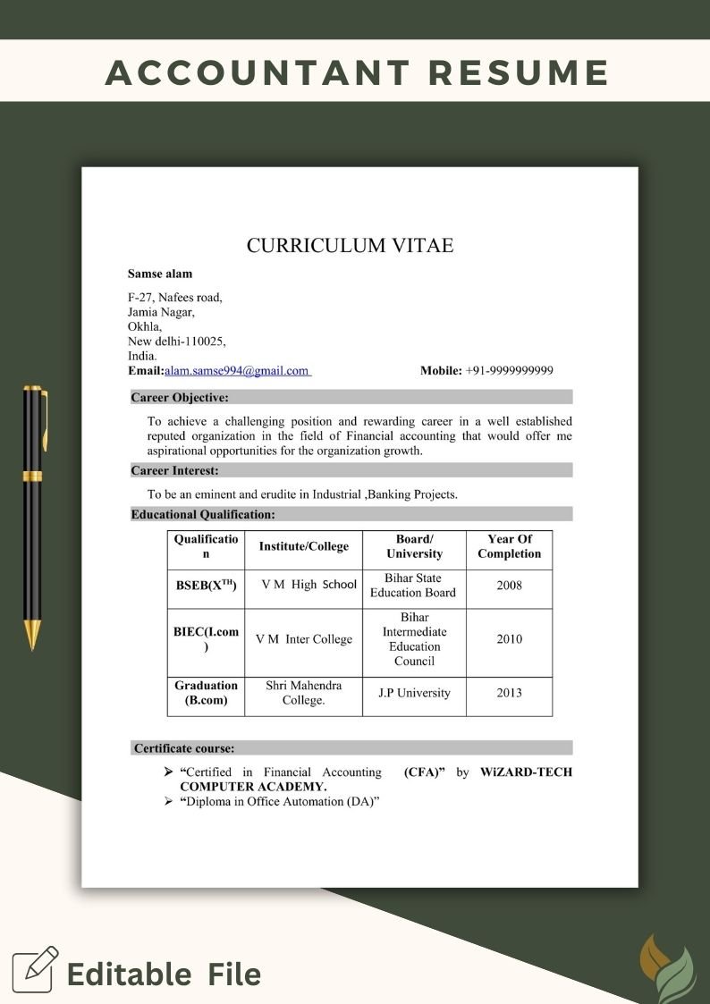 24 Accountant Resume Templates - Download MS word & PDF