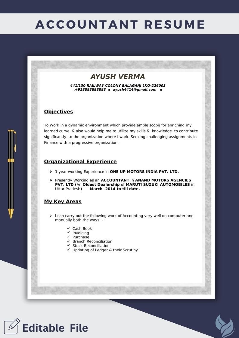 24 Accountant Resume Templates - Download MS word & PDF