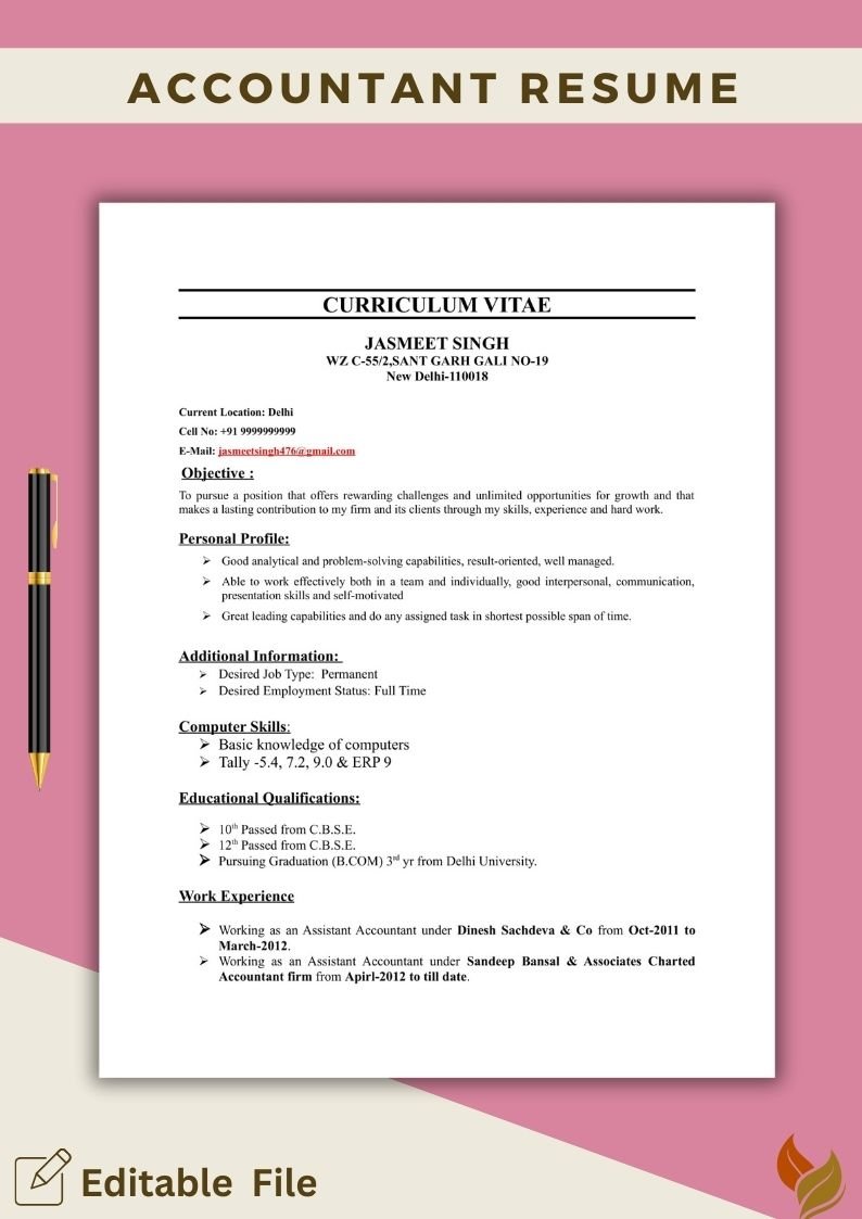24 Accountant Resume Templates - Download MS word & PDF
