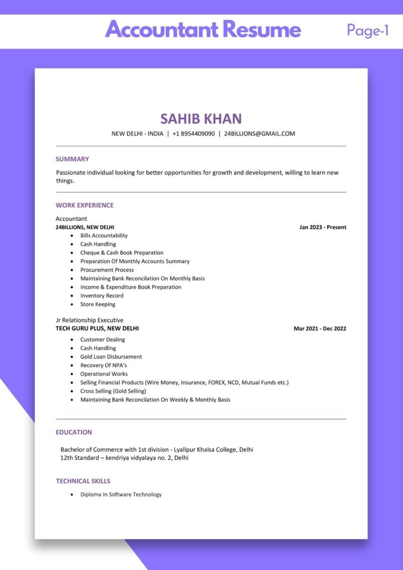 Resume For an Accountant | Accounting Job Application in Ms Word